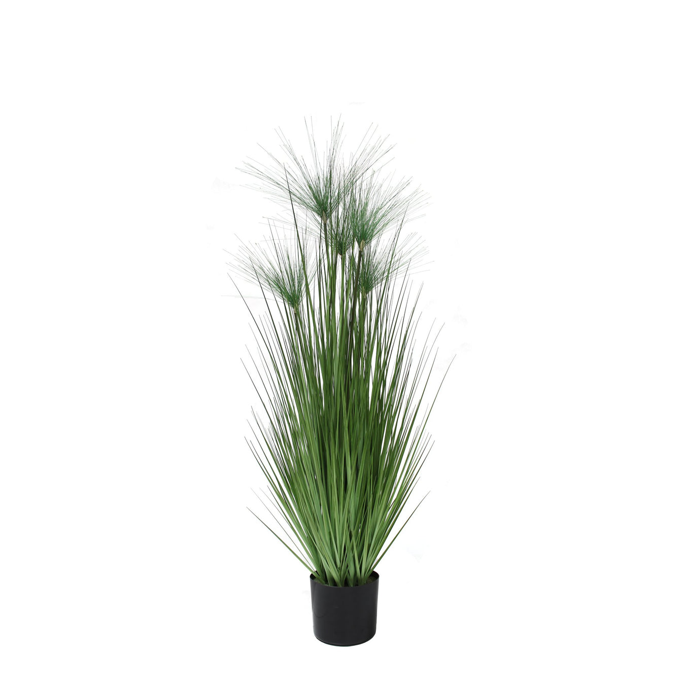 Artificial Grass plant Papyrus Faux Grass Plant Potted – Palm Bungalow